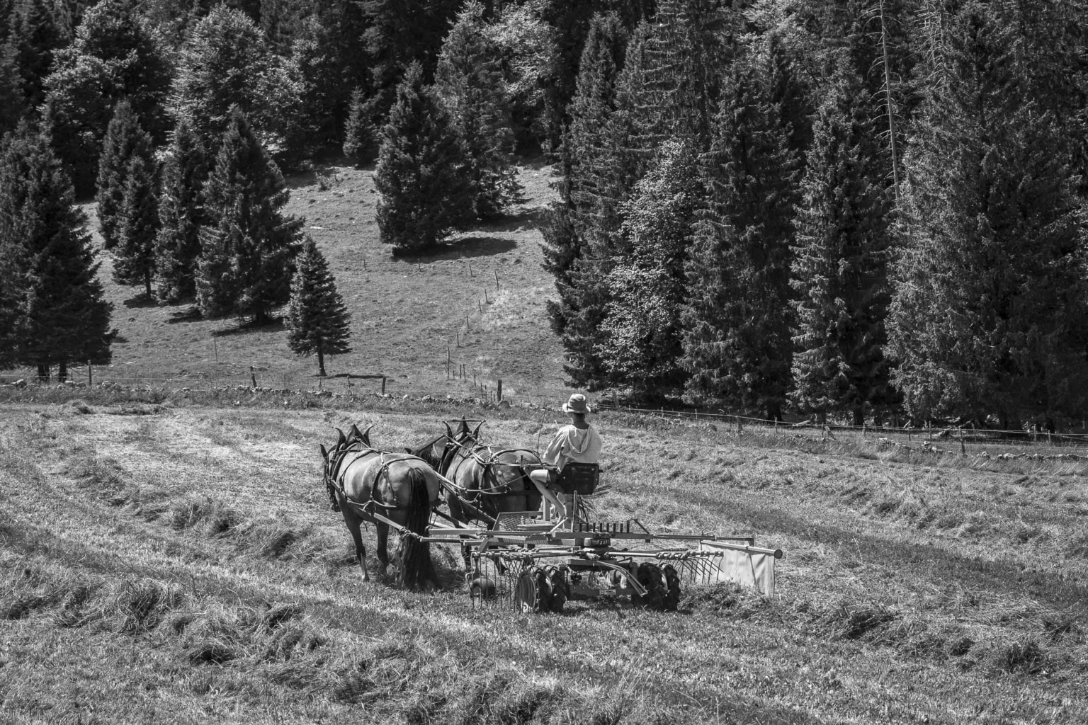 Home - Schweizer Bergbauer