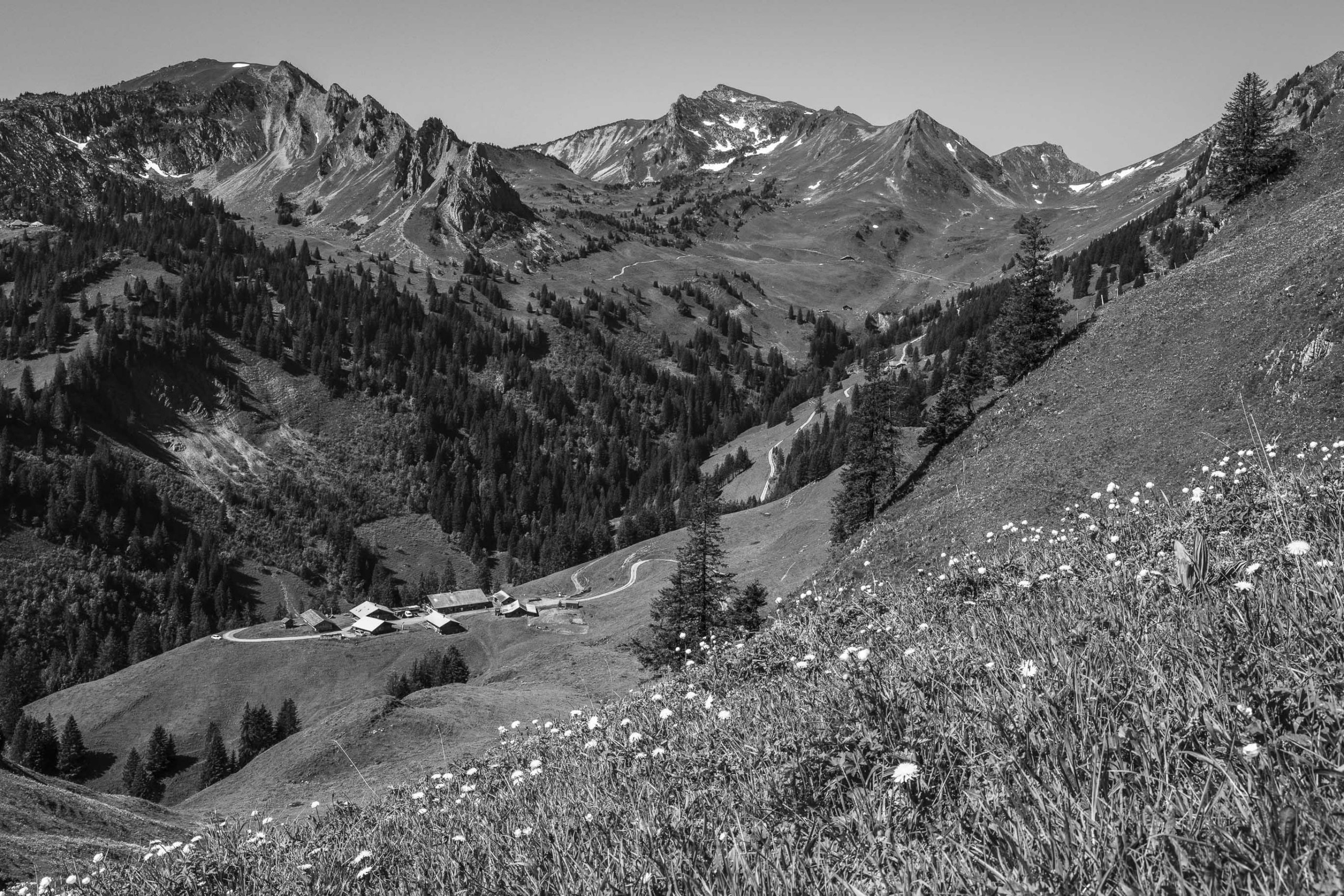 Home - Schweizer Bergbauer