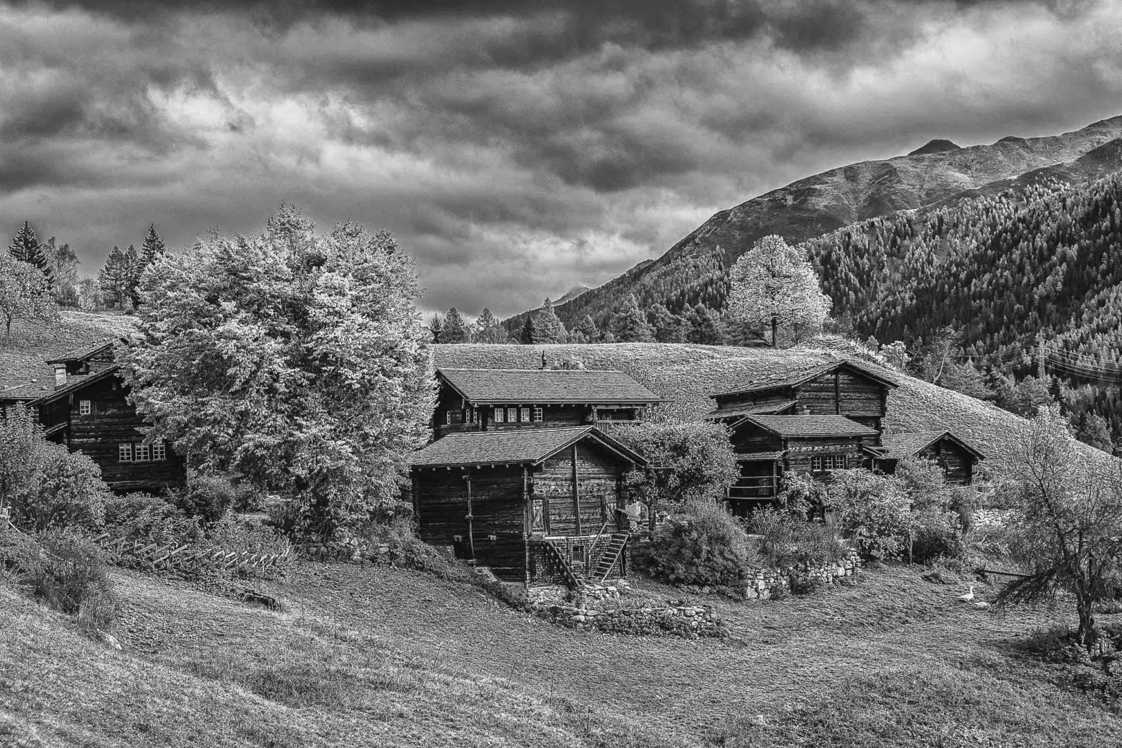 Home - Schweizer Bergbauer